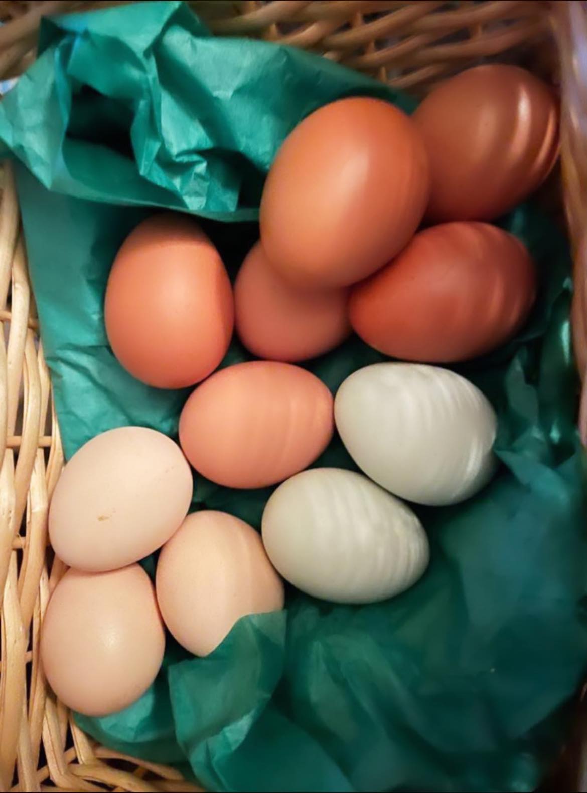 Farm Fresh Eggs - Julian Farms