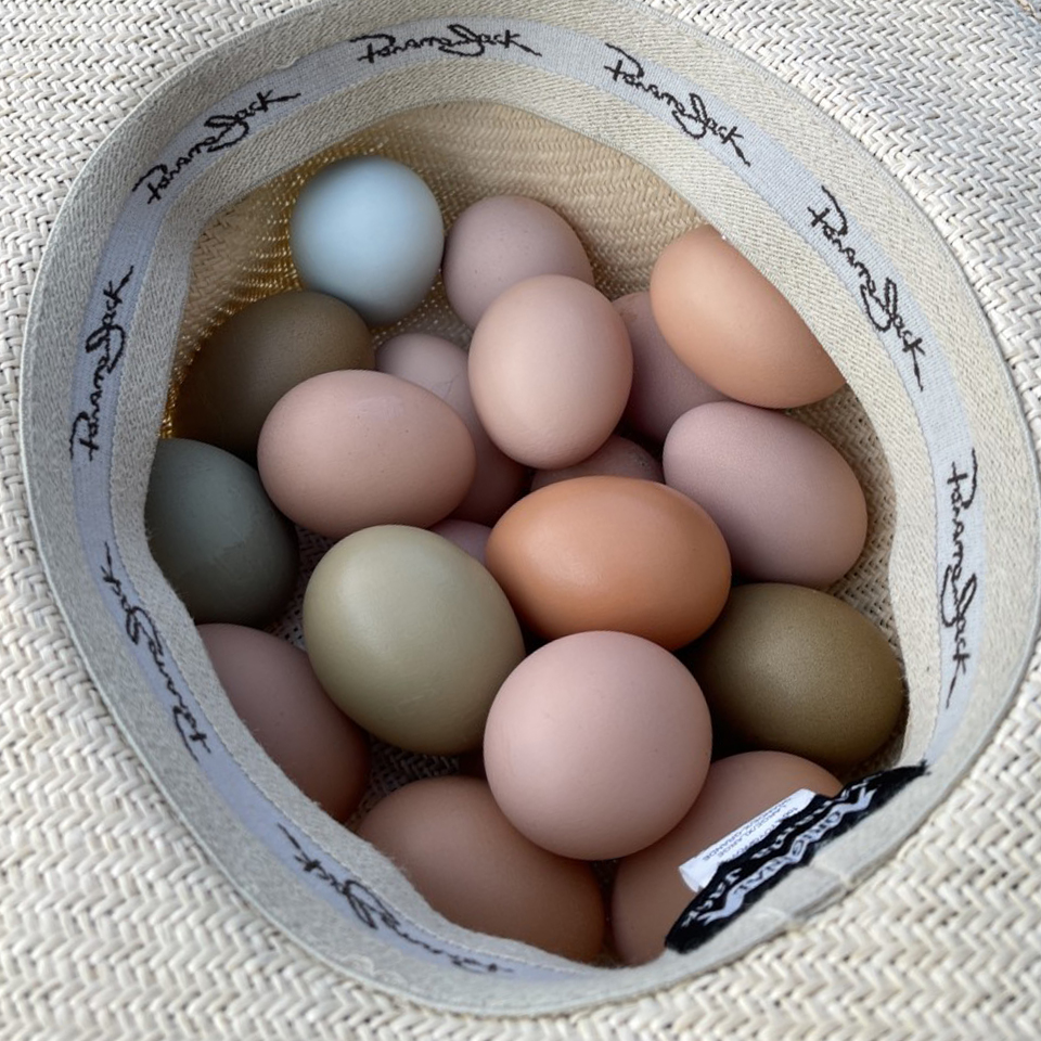 Farm Fresh Eggs Subscription - Julian Farms